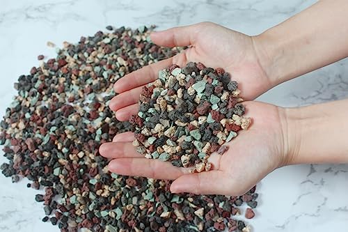 JFWOD 3lb Succulent and Cactus Soil Bonsai Gritty Mix 6-9mm Small Horticultural Lava Rocks for Fairy Garden, Terrarium, DIY Projects, Top Dressing Fast Draining Prevent Over Water