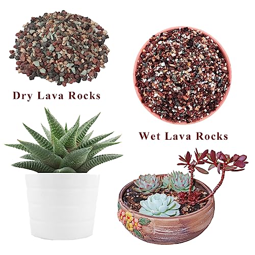 JFWOD 3lb Succulent and Cactus Soil Bonsai Gritty Mix 6-9mm Small Horticultural Lava Rocks for Fairy Garden, Terrarium, DIY Projects, Top Dressing Fast Draining Prevent Over Water