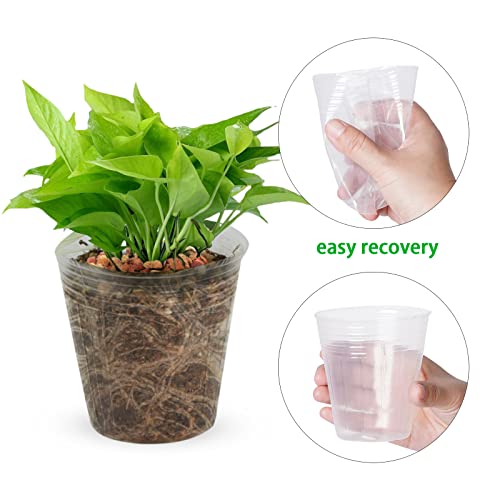 HOVEOX 100Pcs 3 Inch Plant Nursery Pots with 100Pcs Plant Labels, Transparent Plastic Gardening Pot Planting Containers Indoor Succulent herb Planter for Seedlings Succulent Vegetable