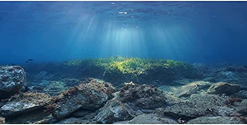 AWERT Ocean Floor Fish Tank Background Underwater Stone Aquarium Background 48x18 inches Vinyl