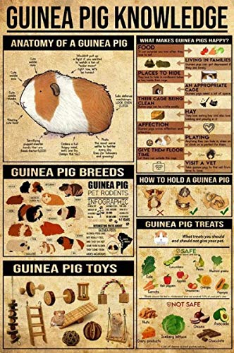 CCPARTON 8x12 inch Metal Tin Signs Metal Sign Guinea Pig Knowledge Signs, Home Decor, Vintage Wall Art