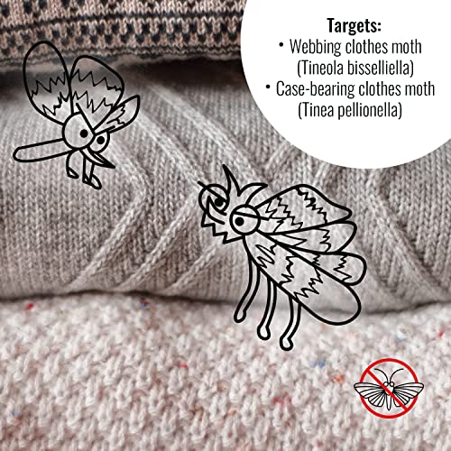 Clothing Moth Traps 6 Pack with Pheromones Prime, Clothes Moth Trap with Lure for Closets & Carpet, Moth Treatment & Prevention