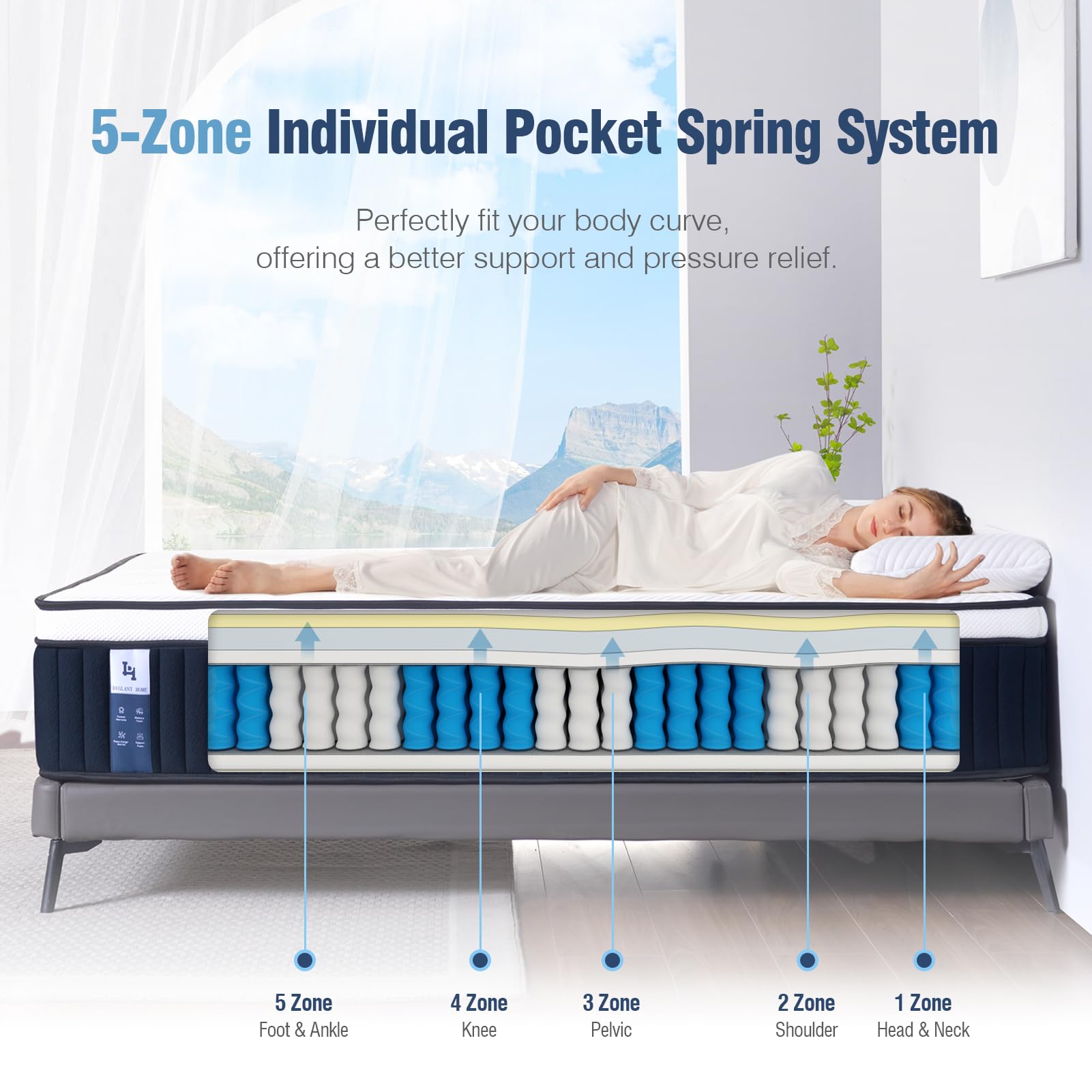 King Mattress, DIGLANT 14 Inch Euro Top Hybrid Memory Foam Mattress with Pocket Springs, Medium Plush Feel King Size Mattress in a Box, Supportive & Pressure Relief, CertiPUR-US Certified, 76"*80"