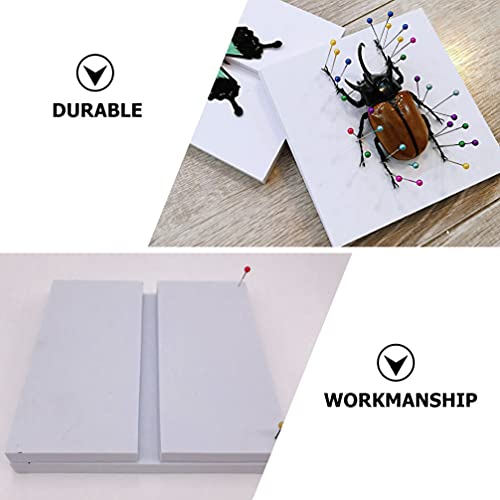 iplusmile Insect Display Box, Bug Display Board Insect Pinning Board Butterfly Mounting Spreading Board Specimen Spreading Board for Science Education
