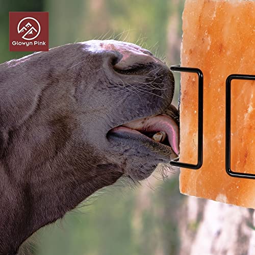 Glowyn Pink Himalayan Salt Block Lick Brick β 4.4 lbs, 4 Pack β 8X 3.85 x 2 inches (fits Standard Salt Block Holder) - 100% Natural with Vital Minerals for Horses & Livestock.