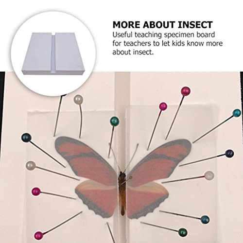 iplusmile Insect Display Box, Bug Display Board Insect Pinning Board Butterfly Mounting Spreading Board Specimen Spreading Board for Science Education