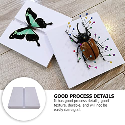 iplusmile Insect Display Box, Bug Display Board Insect Pinning Board Butterfly Mounting Spreading Board Specimen Spreading Board for Science Education