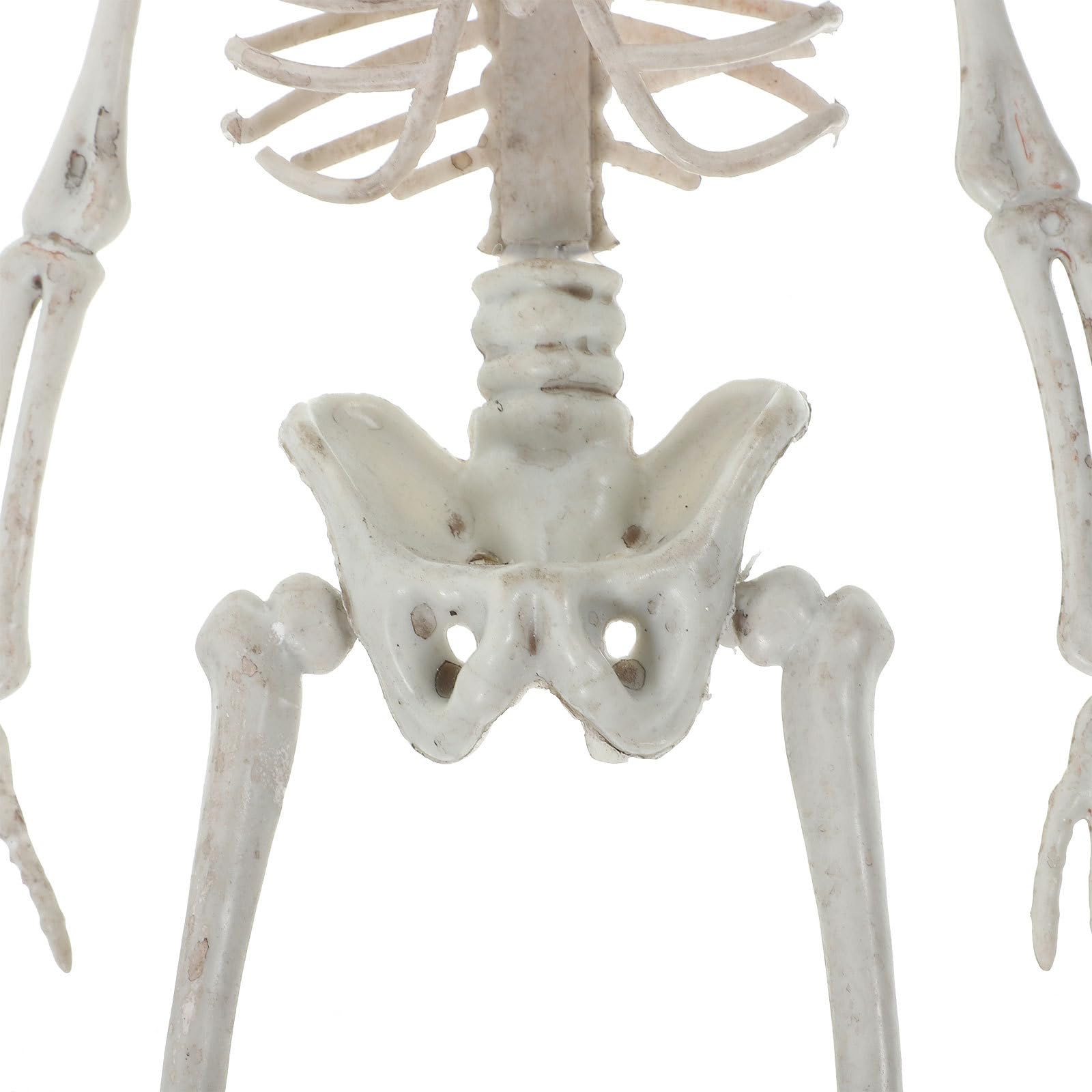 The Mannequin Halloween Skeleton Plastic Models Mannequin Maniquin Scary Halloween Decorations Anatomy Teaching Tools Toy Decorate Props The Sign Some Joints Movable Full Body Mannequin