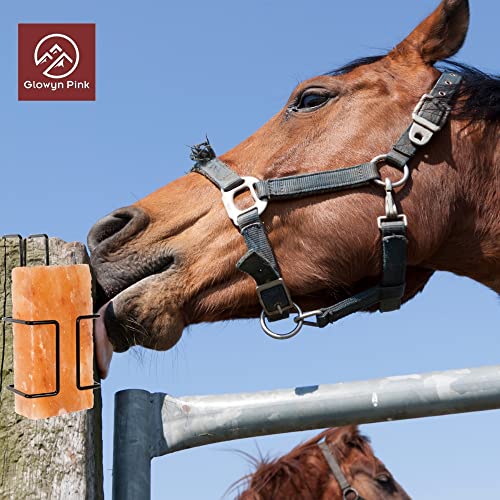 Glowyn Pink Himalayan Salt Block Lick Brick β 4.4 lbs, 4 Pack β 8X 3.85 x 2 inches (fits Standard Salt Block Holder) - 100% Natural with Vital Minerals for Horses & Livestock.