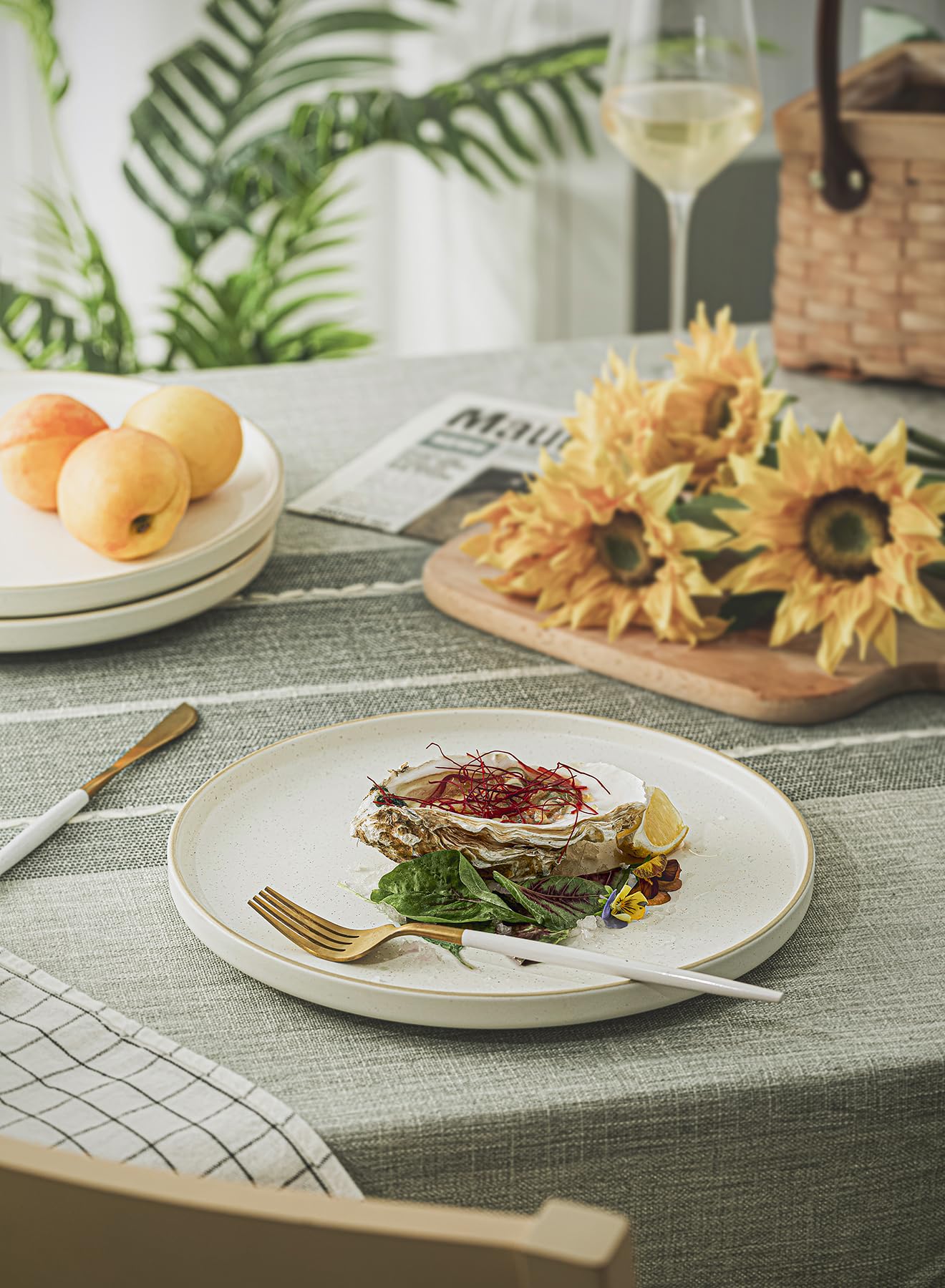 S&Q'S CERAMICS S&Q Dinner Plates Set of 6, 10.5 inch Matte Off-White Plates Ceramic Dinnerware Serving Dishes for Kitchen, Microwave and Dishwasher Safe, Scratch Resistant (Glazed Matte Off-White)