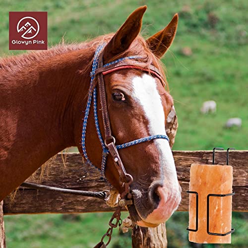 Glowyn Pink Himalayan Salt Block Lick Brick β 4.4 lbs, 4 Pack β 8X 3.85 x 2 inches (fits Standard Salt Block Holder) - 100% Natural with Vital Minerals for Horses & Livestock.