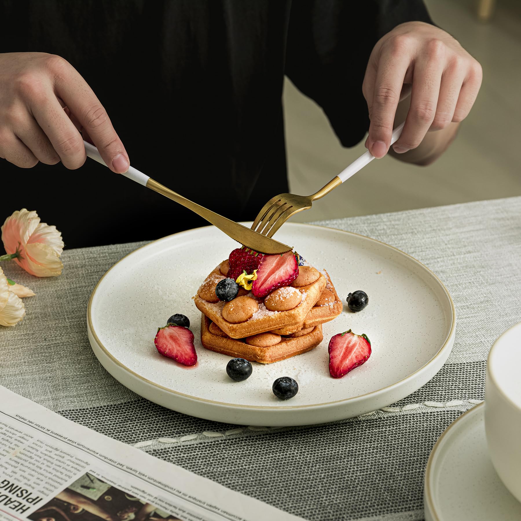 S&Q'S CERAMICS S&Q Dinner Plates Set of 6, 10.5 inch Matte Off-White Plates Ceramic Dinnerware Serving Dishes for Kitchen, Microwave and Dishwasher Safe, Scratch Resistant (Glazed Matte Off-White)