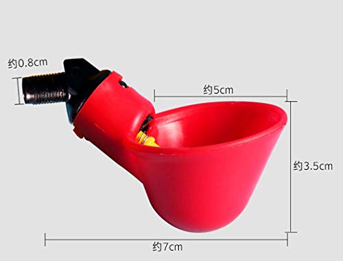 5pcs per lot Pigeon Automatic Drinking Bowl, Pigeon Drinker, Quail Drinking Bowl, Chicken Bird Water Bowl