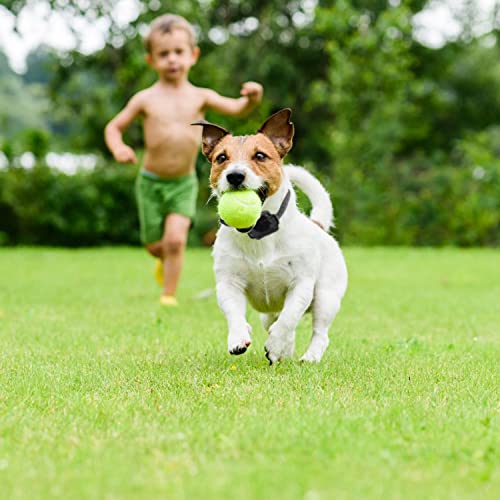 Lirioden Electric Wireless Dog Fence System Electric Fence for Dogs Containment Boundary Automatic Signal Radius Range 722ft, IPX8 Waterproof Rechargeable Tone&Shock Collar for Small Medium Large