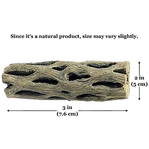 MERIC Hamster Cholla, Climbing Wood, Teeth Trimmer, 1 Pc Per Pack