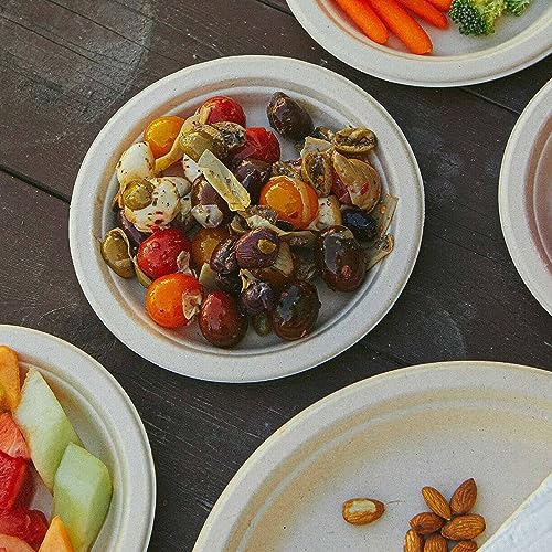 Leste Disposable Bagasse Paper Plates, Heavy-Duty Party Plates, 100% Compostable, Made of Natural Sugarcane Fibers - Biodegradable Paper Plates (Natural - Round, 9 Inch - 50 Count)