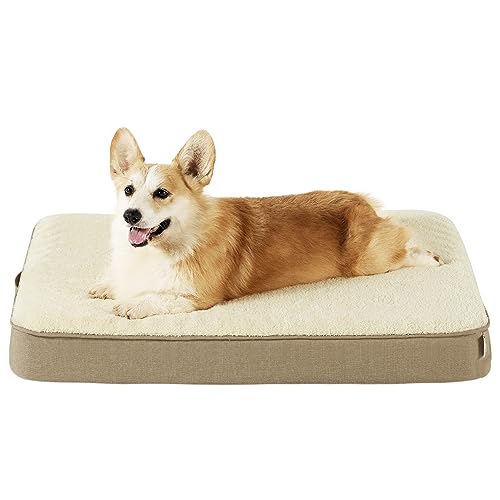 Lesure Orthopedic Dog Beds for Medium Dogs - Egg Crate Foam Puppy Bed with Ultra Soft Sherpa Surface&Removable Cover, Machine Washable Waterproof Dog Bed with Non-Slip Bottom(Curds&Whey,30x20x3inch)