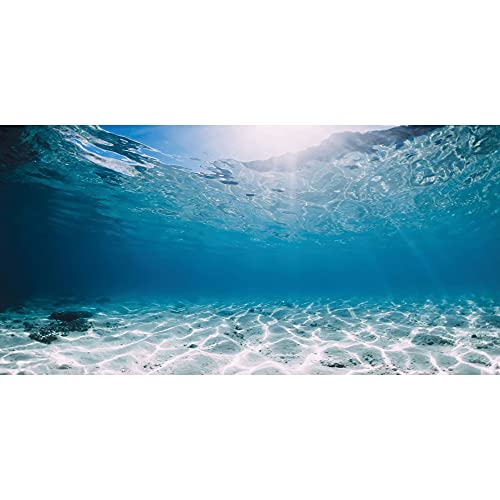AWERT 30x18 inches Polyester Undersea Ocean Floor Aquarium Background Underwater Tropical Fish Tank Background