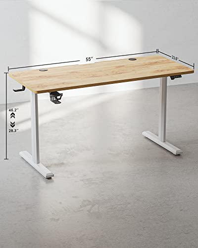 BANTI 55"x24" Standing Desk, Electric Stand up Height Adjustable Home Office Table, Sit Stand Desk, Light Rustic Brown Top