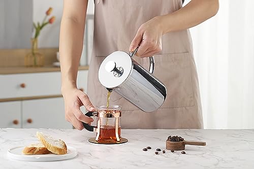 FJISEFEJ French press Coffee Maker Heat Resistant Durable Borosilicate Sliver Glass 12oz