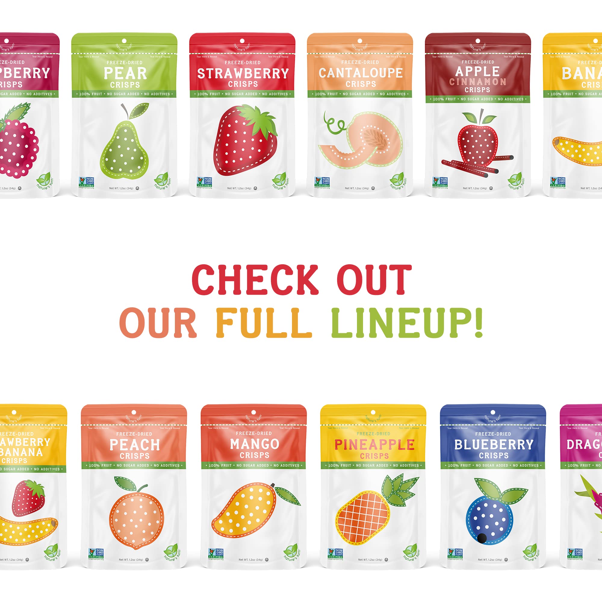 Nature’s Turn Freeze-Dried Fruit Snacks, Superfruit Variety, Pack of 16 (0.53 oz Each)
