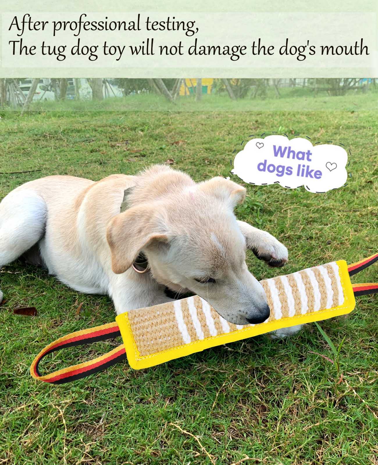 Clysoru Dog Tug Toy Dog Tough Jute Bite Pillow - Durable Training Equipment - Puppy to Large Dogs Interactive Toy for Large Dogs and Small Dogs
