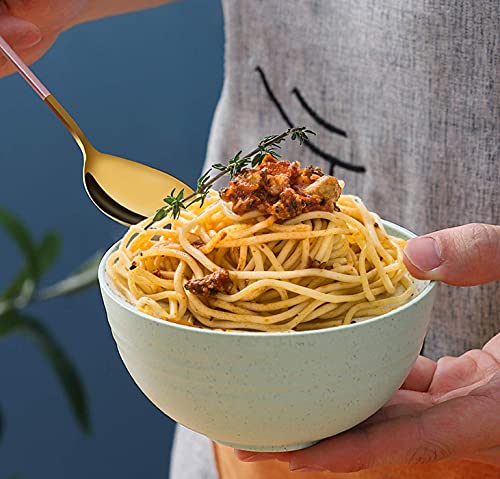 Cereal Bowls,6 Pack 24 oz Bowls Set, Food Grade Safe Durable PP Bowls for Soup, Salad, Cereal, Pasta, Yogurt, Heat and Cold Resistant, Dishwasher Safe Bowls,eco- friendly and degradable