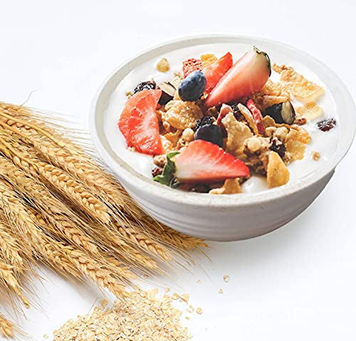 Cereal Bowls,6 Pack 24 oz Bowls Set, Food Grade Safe Durable PP Bowls for Soup, Salad, Cereal, Pasta, Yogurt, Heat and Cold Resistant, Dishwasher Safe Bowls,eco- friendly and degradable