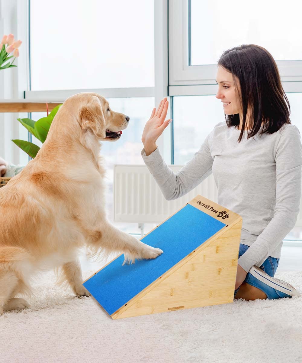 Scratch Square for Dogs, Extra Large Dog Scratch Pad for Nail, Hands Free Dog Nail File Toy, Stable Dog Scratch Pad with Bracket, Two Heights Optional