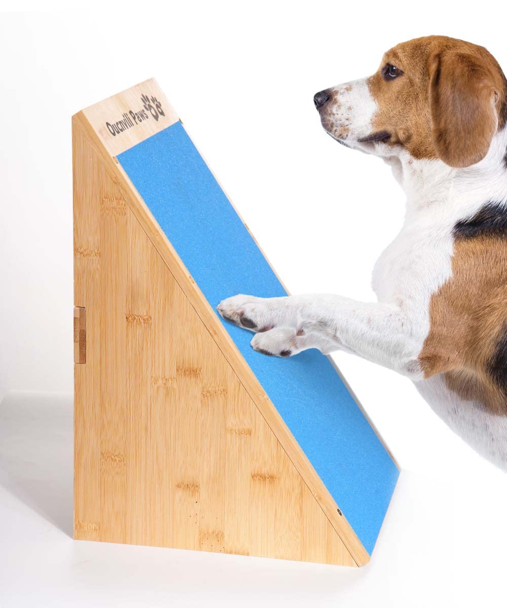 Scratch Square for Dogs, Extra Large Dog Scratch Pad for Nail, Hands Free Dog Nail File Toy, Stable Dog Scratch Pad with Bracket, Two Heights Optional