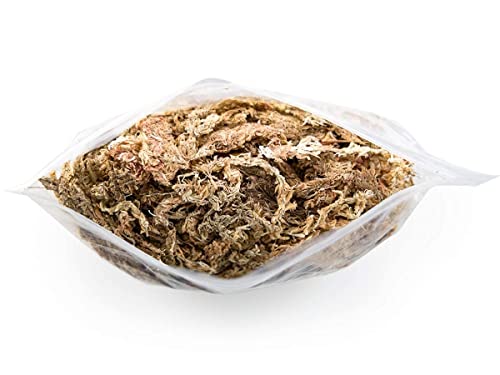 Josh's Frogs Bioactive ABG Substrate Vivarium Bundle- Large