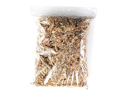 Josh's Frogs Bioactive ABG Substrate Vivarium Bundle- Large