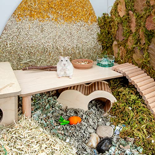 Niteangel Hamster Play Wooden Platform for Dwarf Syrian Hamsters Gerbils Mice Degus or Other Small Pets (Rectange - 7'' Height, Burlywood)