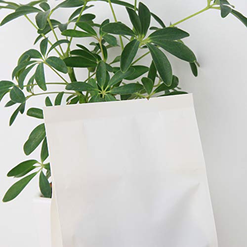 COFFILM Eco Paper Side Gussted Coffee Bag 1kg 32oz / W Valve (50pcs)
