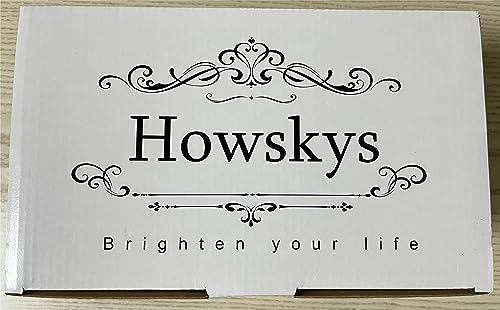 Howskys 2 Pack LED Dimmable Bottle Lamp 3000k+RGB, IP54 Wireless Bottle Lamp for Indoor and Outdoor, 5500 mAh Rechargeable Bottle Lamp for Family, Restaurant & Bar(Black)