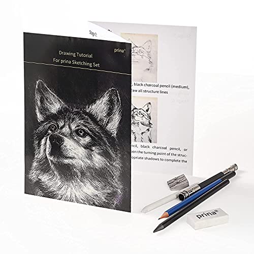 Prina 50 Pack Drawing Set Sketch Kit, Sketching Supplies with 3-Color Sketchbook, Graphite, and Charcoal Pencils, Pro Art Drawing Kit forĀ Artists Adults Teens Beginner Kid, Ideal for Shading, Blending