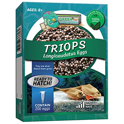 Greenwaterfarm Triops Longicaudatus Eggs for Hatching and Culture Suitable to be Pet and Science Project (Pure 200 Eggs)