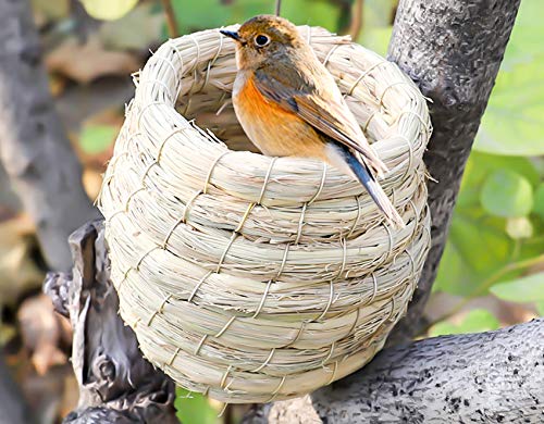 2Pcs Birdcage Straw, Lucky Interests Natural Fiber Simulation Birdhouse, Resting Breeding Place for Birds, Handmade Birds Nest Straw Bird, Hideaway from Predators, Provides Shelter from Cold Weather