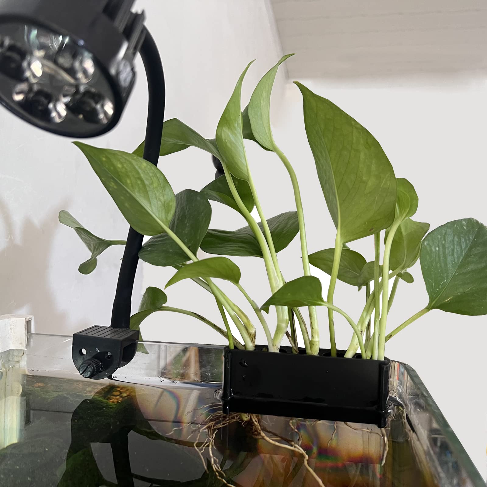 Upgrade Open Face Emerging Plant Holder, Aquarium Hanging Aquatic Plant Holder Fish Tank Decorations for Emersed Plants,Fish Tank Living Fish Shrimp (Rimmed)