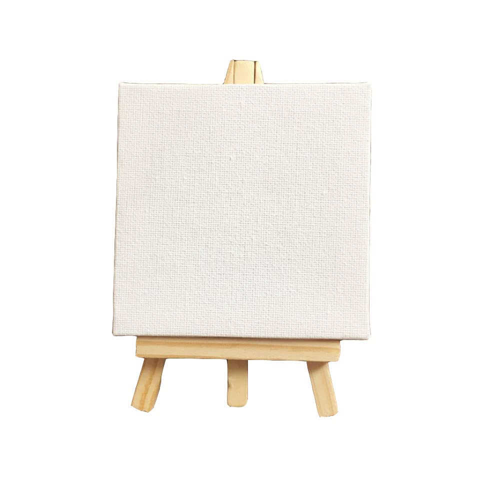 Mini Canvas Picture Frames 4x4 Inch 12 Pack, Stretched Small Canvas for Painting, Painting Canvas Square Canvas, Crafts for Kids