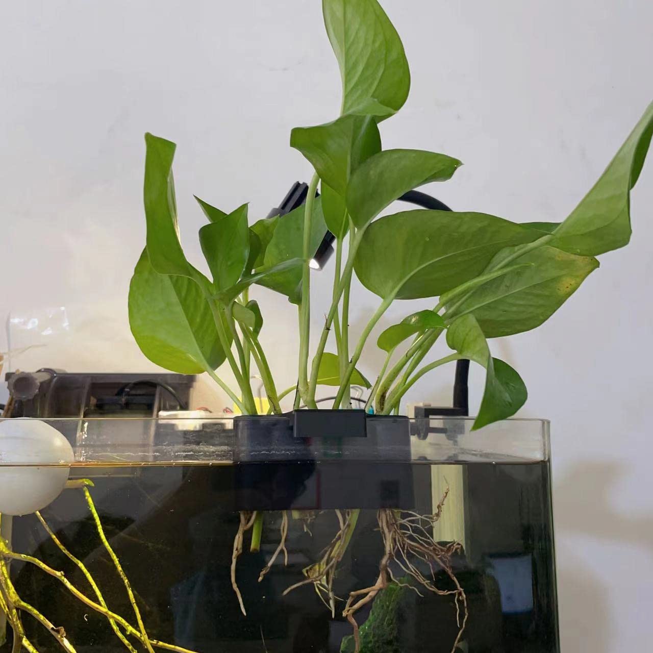 Upgrade Open Face Emerging Plant Holder, Aquarium Hanging Aquatic Plant Holder Fish Tank Decorations for Emersed Plants,Fish Tank Living Fish Shrimp (Rimmed)
