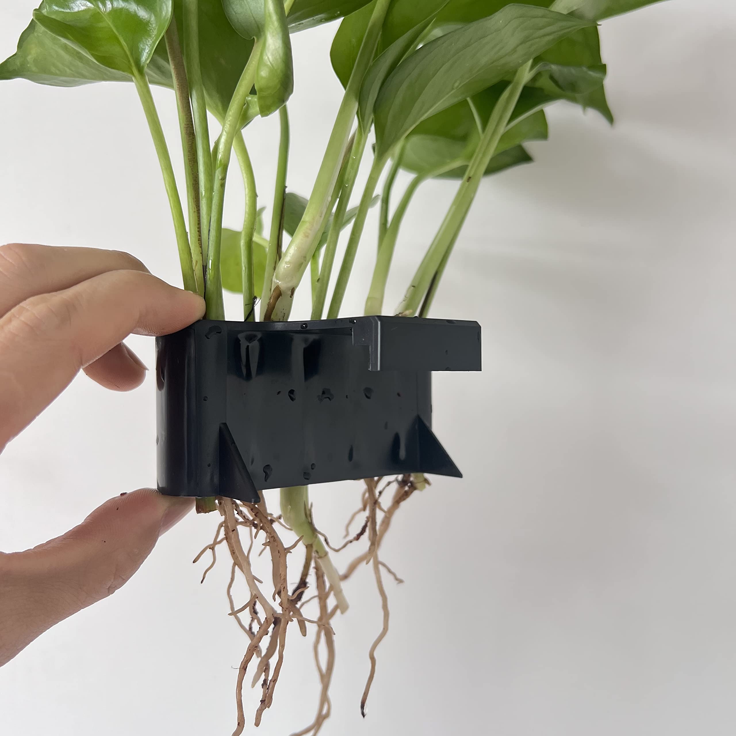 Upgrade Open Face Emerging Plant Holder, Aquarium Hanging Aquatic Plant Holder Fish Tank Decorations for Emersed Plants,Fish Tank Living Fish Shrimp (Rimmed)