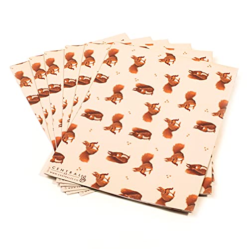 CENTRAL 23 Fall Wrapping Paper - 6 Gift Wrap Sheets For Birthday or Christmas - Thanksgiving Wrapping Paper For Boys Girls - Easter Paper - Squirrel Design - For Kids Men Women - Recyclable