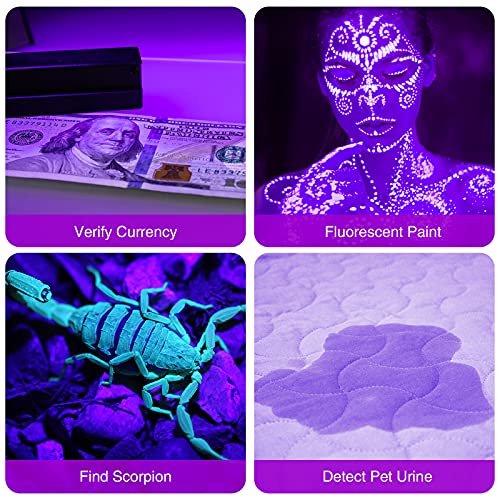 COSOOS 2 Pack UV Flashlight, 12 LED Handheld Blacklight Flashlight 395nm Mini Light Torch Detector for Dog Pet Urine Stains, Bed Bugs and Scorpions. (Batteries not Included)