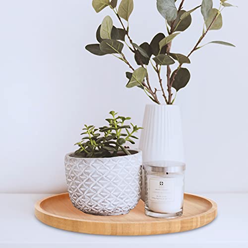 Ebingoo 2 pcs 10 inch Thick Solid Bamboo Large Plant Saucer for Outdoors 8-10 inch Pots Round Plant Trays for Indoors no Holes Durable Flower Succulent Cactus Planter Plant Plate