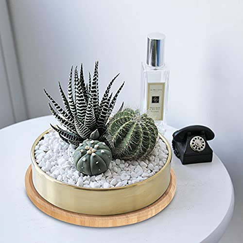 Ebingoo 2 pcs 10 inch Thick Solid Bamboo Large Plant Saucer for Outdoors 8-10 inch Pots Round Plant Trays for Indoors no Holes Durable Flower Succulent Cactus Planter Plant Plate