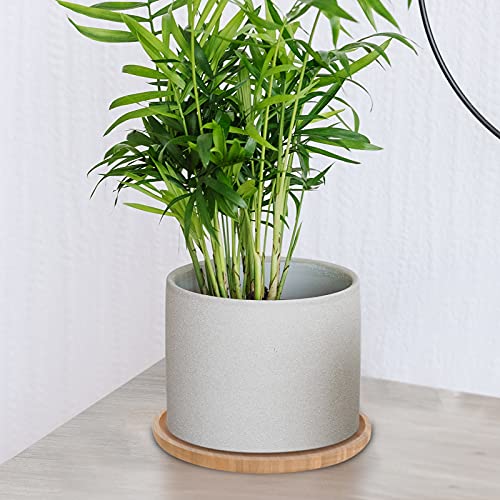Ebingoo 2 pcs 10 inch Thick Solid Bamboo Large Plant Saucer for Outdoors 8-10 inch Pots Round Plant Trays for Indoors no Holes Durable Flower Succulent Cactus Planter Plant Plate