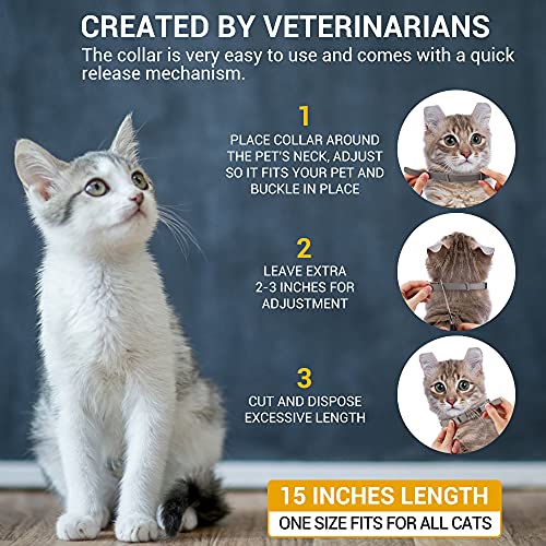 BUDOCI Pet Flea Collar Small Size Flea and Tick Prevention for Cats, 4 Pack Flea and Tick Collar for Cats, 38cm/15 inch, 8 Month ProtectionâŚ