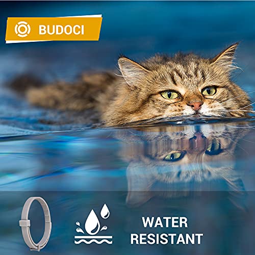 BUDOCI Pet Flea Collar Small Size Flea and Tick Prevention for Cats, 4 Pack Flea and Tick Collar for Cats, 38cm/15 inch, 8 Month ProtectionâŚ