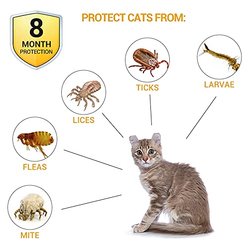BUDOCI Pet Flea Collar Small Size Flea and Tick Prevention for Cats, 4 Pack Flea and Tick Collar for Cats, 38cm/15 inch, 8 Month ProtectionâŚ
